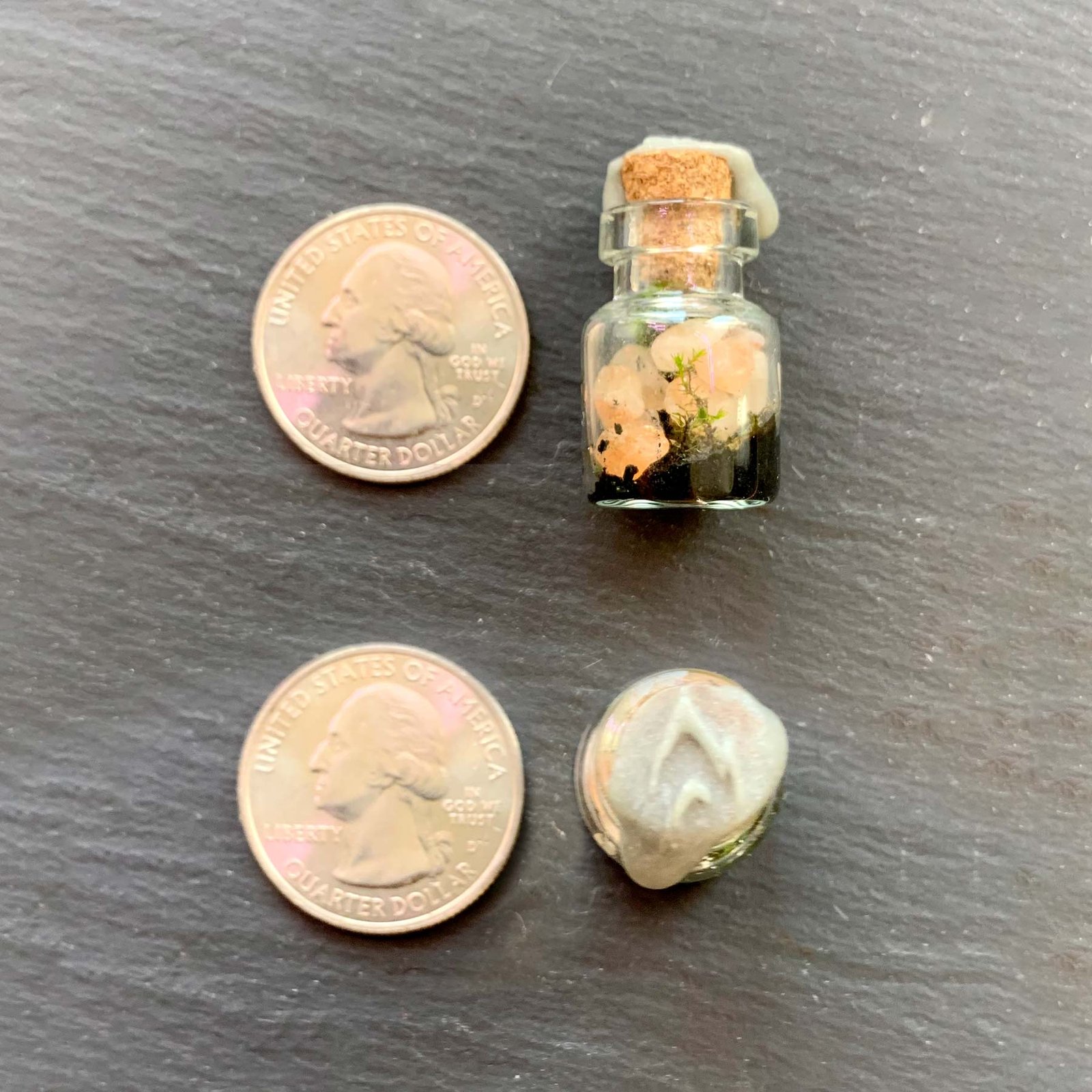 Tiny Terrariums - Ancient Offerings